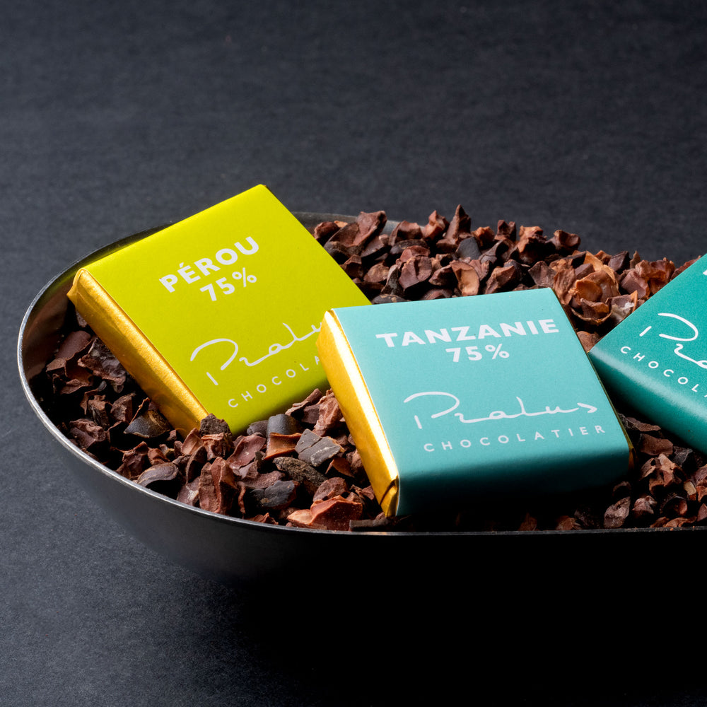 Mini Organic Pyramid, 10 bites of 75% dark artisanal chocolate